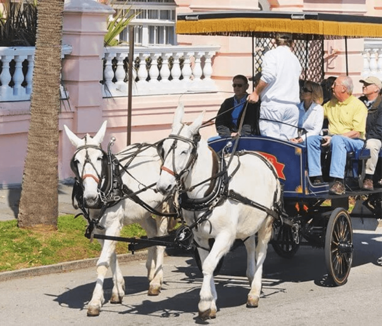 Fulton Lane Inn | Charleston, SC Hotel | Photo Gallery